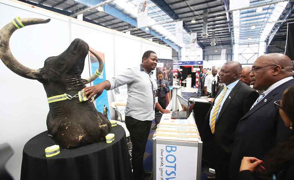 Innovative prize for Africa – Botswana Gazette