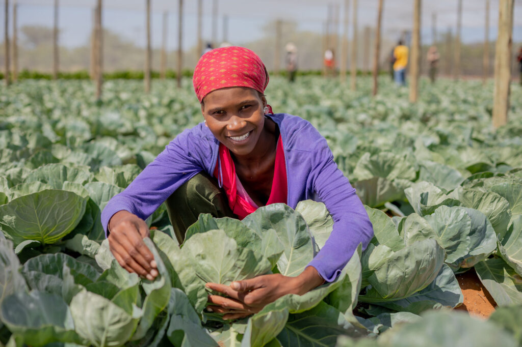 African Sun Energy Explains Solar Powered Farming in Mokubilo ...