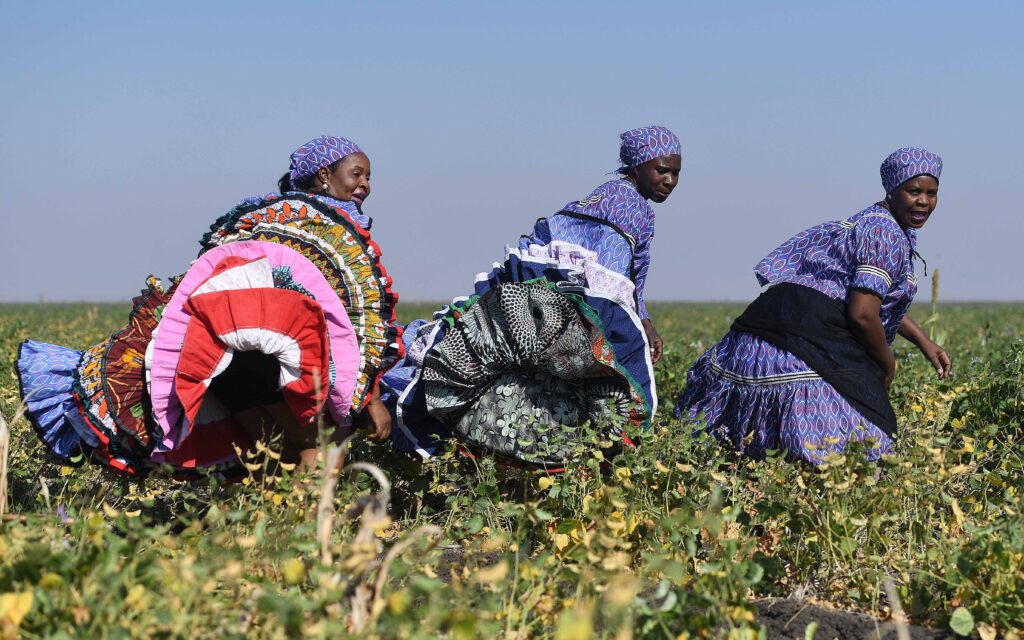 The Agricultural Sector: A Growing Need – Botswana Gazette