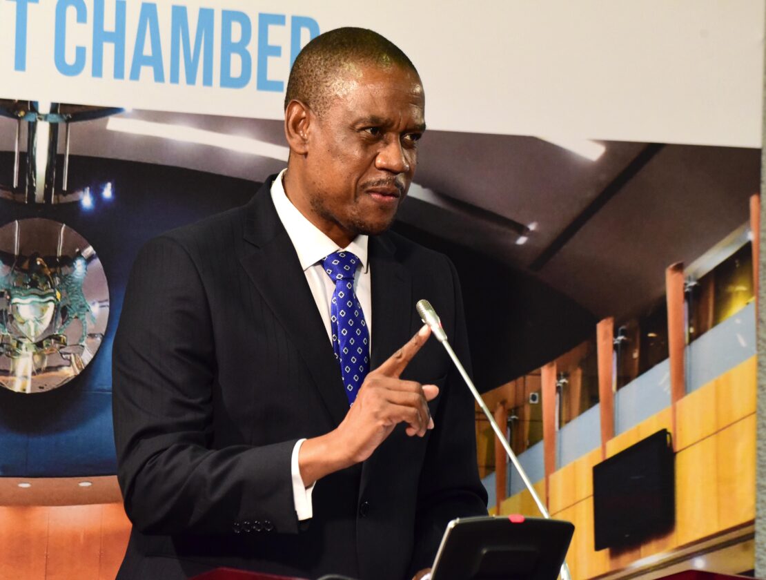 Dumelang Saleshando – Botswana Gazette