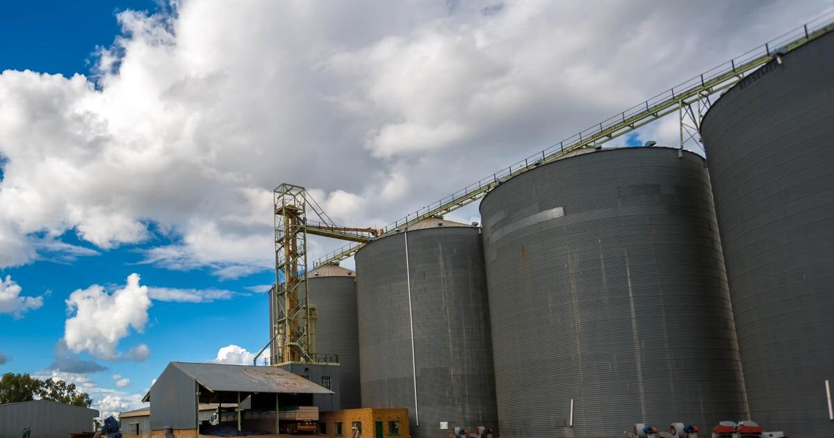 BAMB Has Just a month’s Supply Of Sorghum – Botswana Gazette