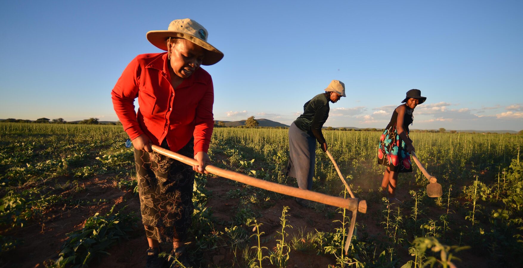 The Invisible Force of Women in the Agriculture Sector – Botswana Gazette