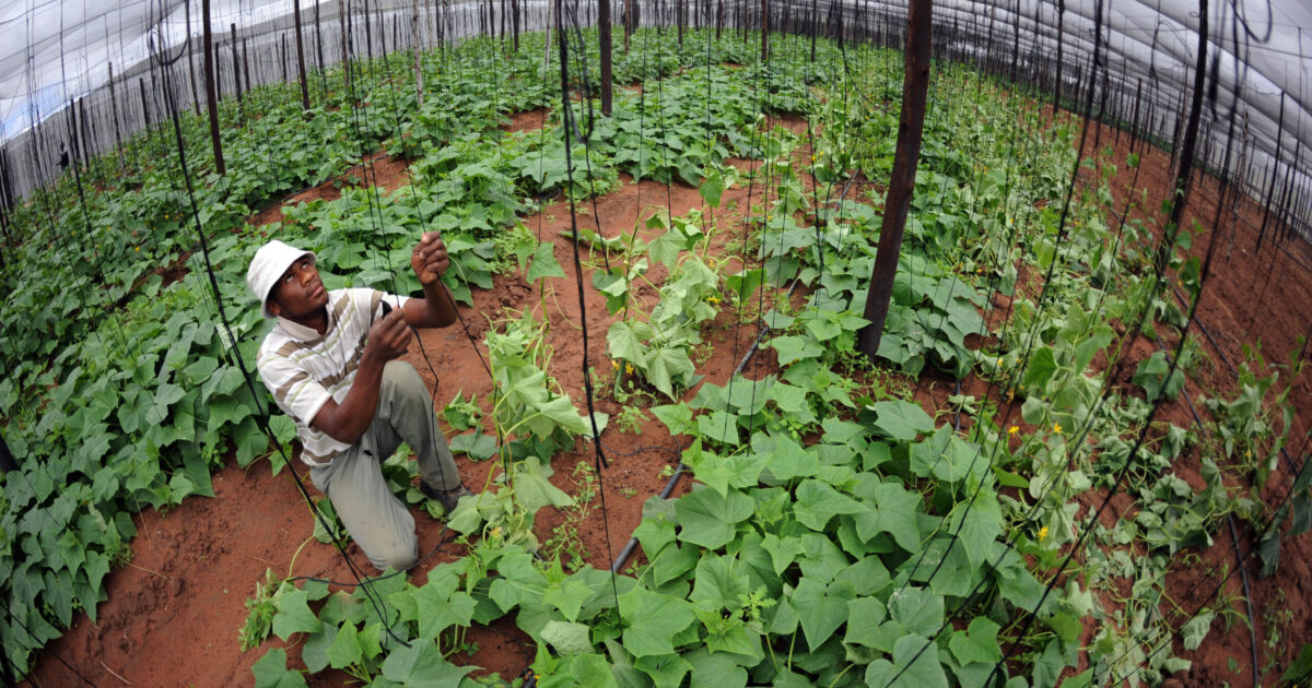 Govt Replaces ISPAAD with Temo-Letlotlo – Botswana Gazette