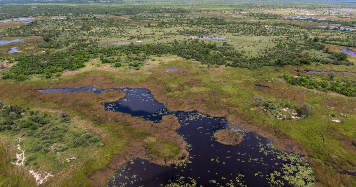 Only Three Land Boards Reach Plot Allocation Target – Botswana Gazette