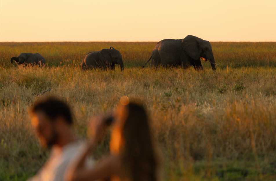 Wilderness Mokete: A Haven for Safari Enthusiasts – Botswana Gazette