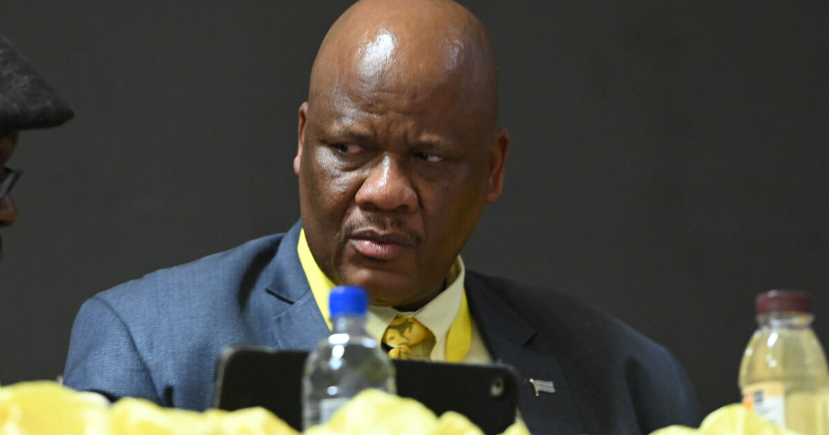 BPF Concerned Members Demand Disciplinary Action Against Reatile ...