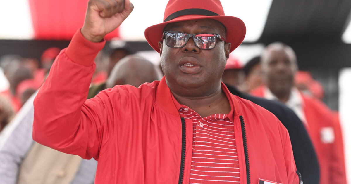 Domkrag Will Bounce Back in 2029 – Kario – Botswana Gazette