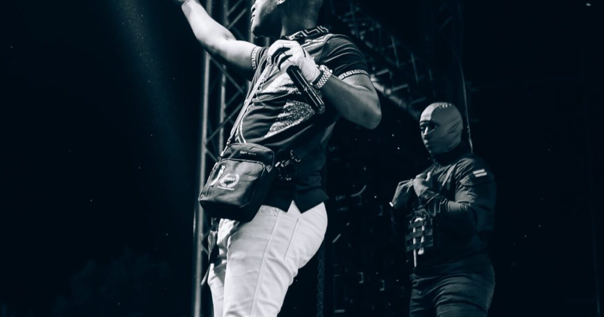 It’s All Systems Go for Hey Nyena and Friends Picnic – Botswana Gazette