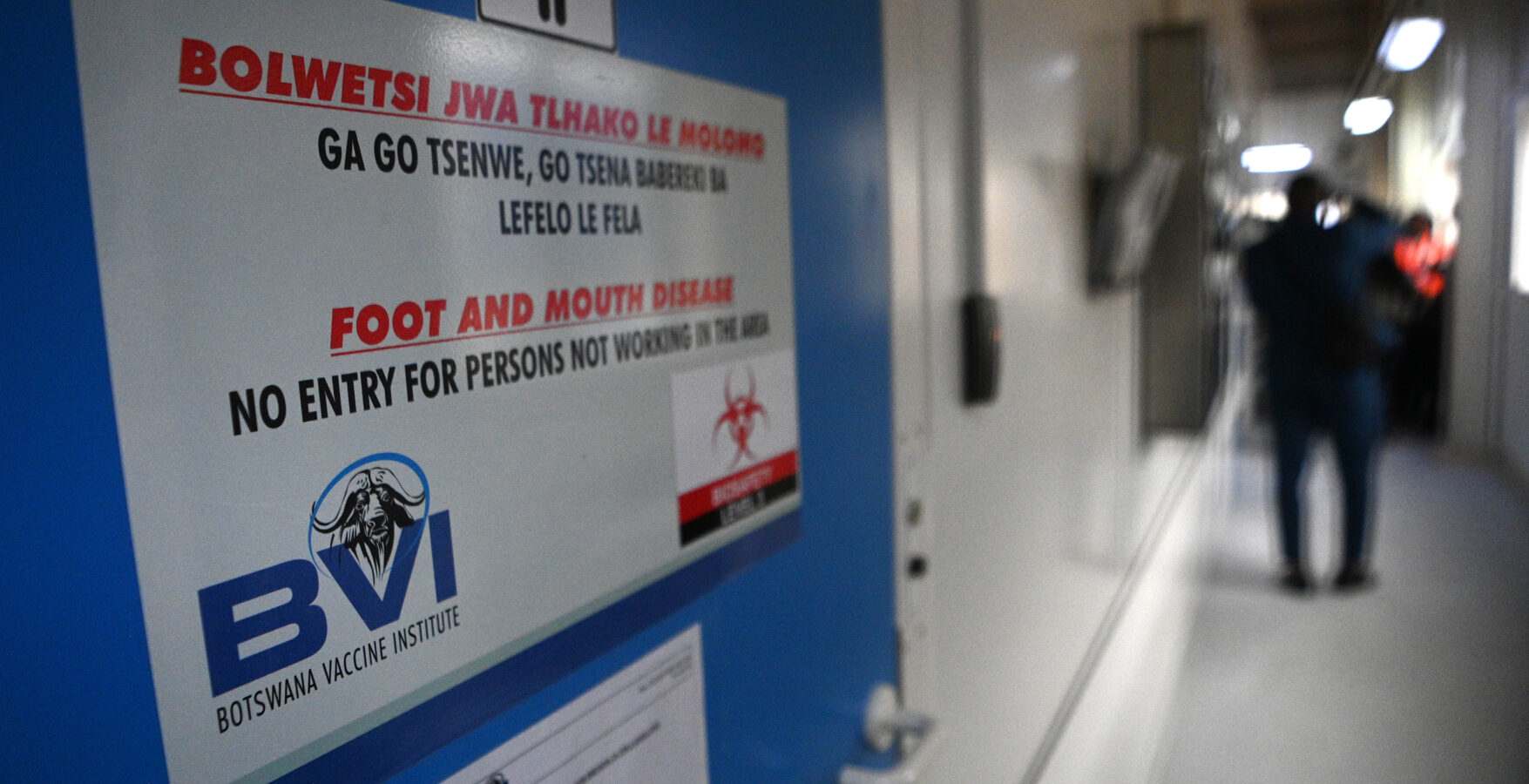 FMD Crisis Runs Wild – Botswana Gazette